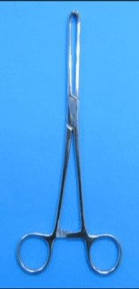 Forceps/Clamps - Allis Intestinal 20cm 5x6 From 152.95 @Josec Supplies
